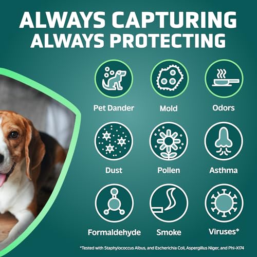 Germ Guardian FLT5250PT True HEPA Genuine Air Purifier Replacement ...